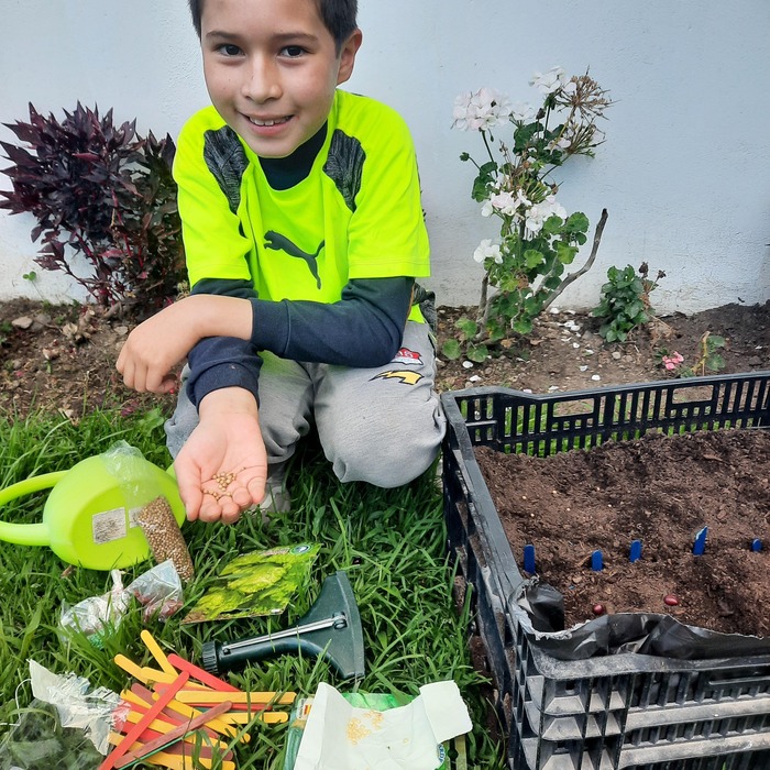 Materiales y siembra :: mi proyecto de las plantas